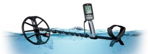Minelab Equinox 800 Review [2023]: Why Is It So Popular?